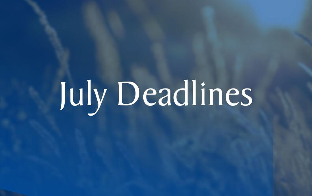 Tax Deadline Breakdown- July - Studholme Bell